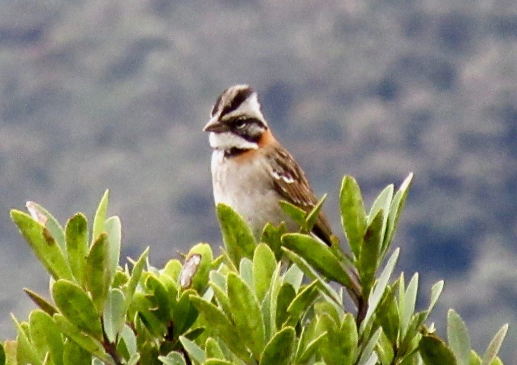 The Wild Side of Machu Picchu - Time.Travel.Trek.