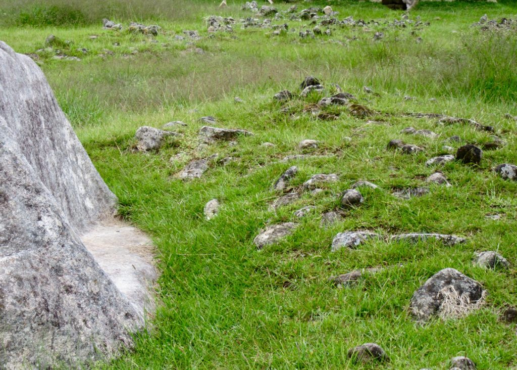 Machu Picchu’s Story in Stone - Time.Travel.Trek.