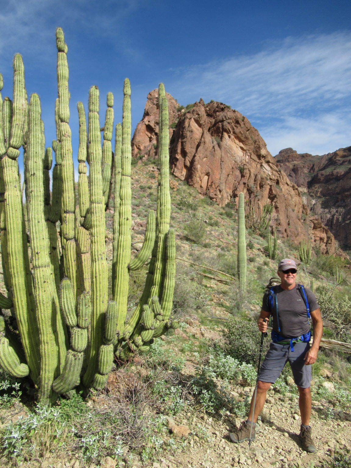 25 Must-Do Arizona Bucket List Adventures in 2025 - Time.Travel.Trek.