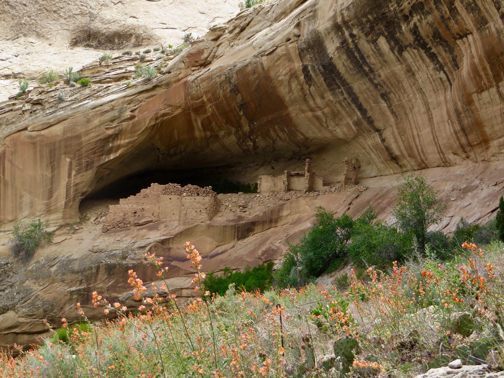 Exploring Monarch Cave, Utah - Time.Travel.Trek.