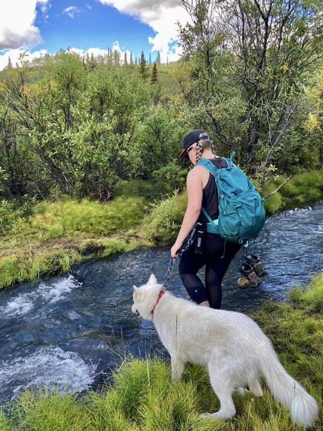 Hiking in Tombstone Territorial Park, Yukon Canada - Time.Travel.Trek.