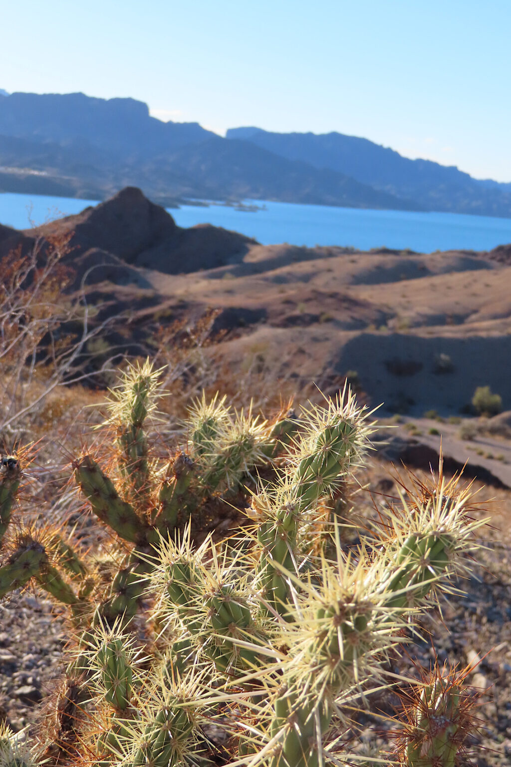 Arizona Trip Itinerary Ideas: 3 Days at Cattail Cove State Park - Time ...